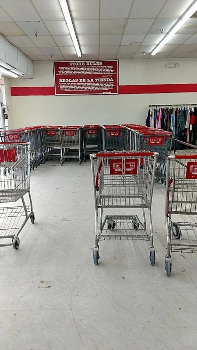The cart corral – your chariot awaits for this quest through aisles of possibility and potential.