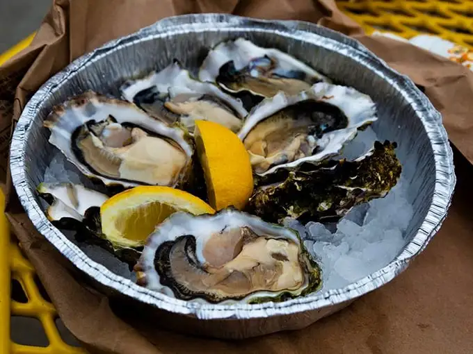 Ocean jewels on the half shell. These oysters look like they were plucked from the sea moments ago—briny, beautiful, and begging for a squeeze of lemon.