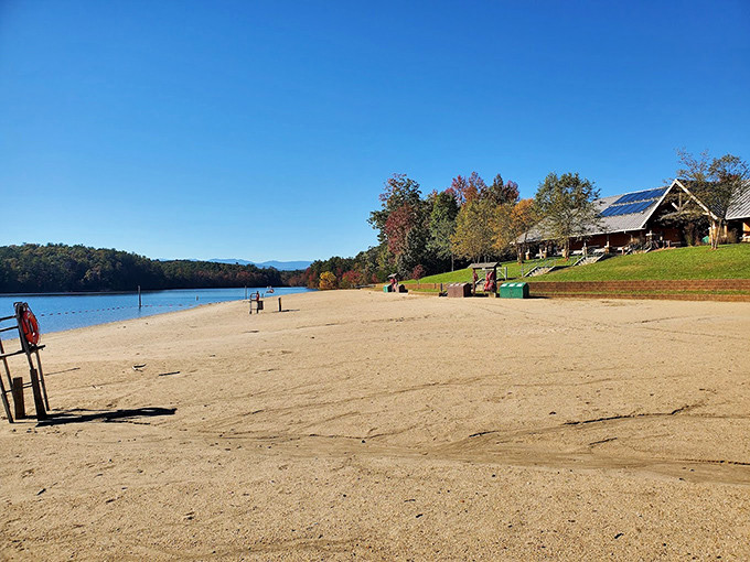 Summer days were made for this—golden sand, blue water, and not a deadline or email in sight.