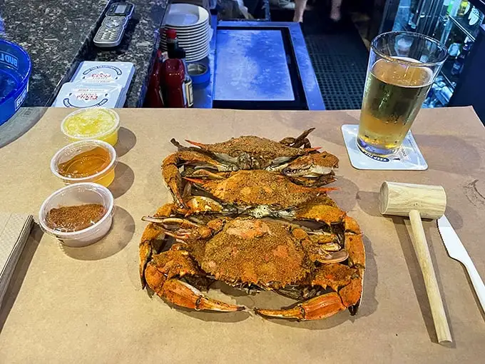 Maryland's famous steamed crabs, gloriously orange from Old Bay seasoning, await your mallet and picking skills. Dinner or contact sport? You decide.