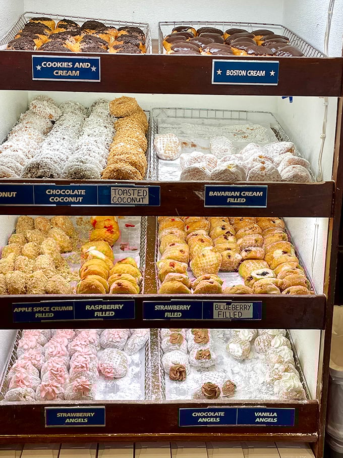 The United Nations of donuts, where coconut, chocolate, and fruit-filled varieties coexist in perfect, powdered harmony.