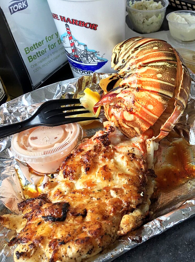 This isn't just lobster tail—it's nature's perfect food alongside what appears to be blackened fish. Surf and turf? More like surf and more surf!