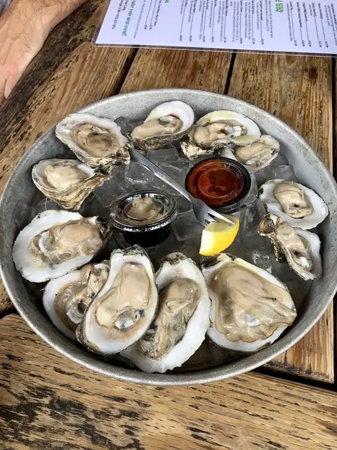 These oysters aren't just fresh—they're practically giving you side-eye for interrupting their morning swim.