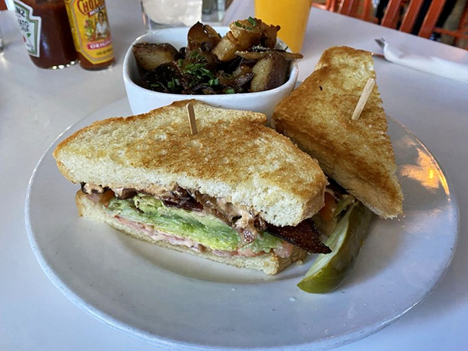 A sandwich that doesn't need to shout about its brilliance. Those sautéed mushrooms on the side aren't a garnish—they're a supporting actor worthy of their own award.