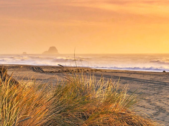 The Lost Coast sunset paints the Pacific gold. This is the kind of beach view that makes you forget your phone exists—except to capture it.