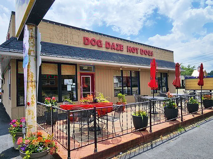 Dog Daze's flower-adorned patio proves that gourmet hot dogs deserve a beautiful setting – casual elegance for casual food.