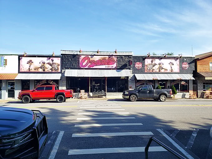 Ozark Cafe looks like it was built specifically for those pivotal movie scenes where characters make life-changing decisions over pie.