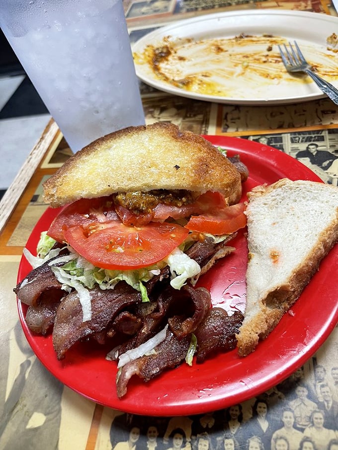 Sometimes a perfect BLT is all you need. Crispy bacon, garden-fresh tomatoes, and toasted bread—proof that classics become classics for a reason.