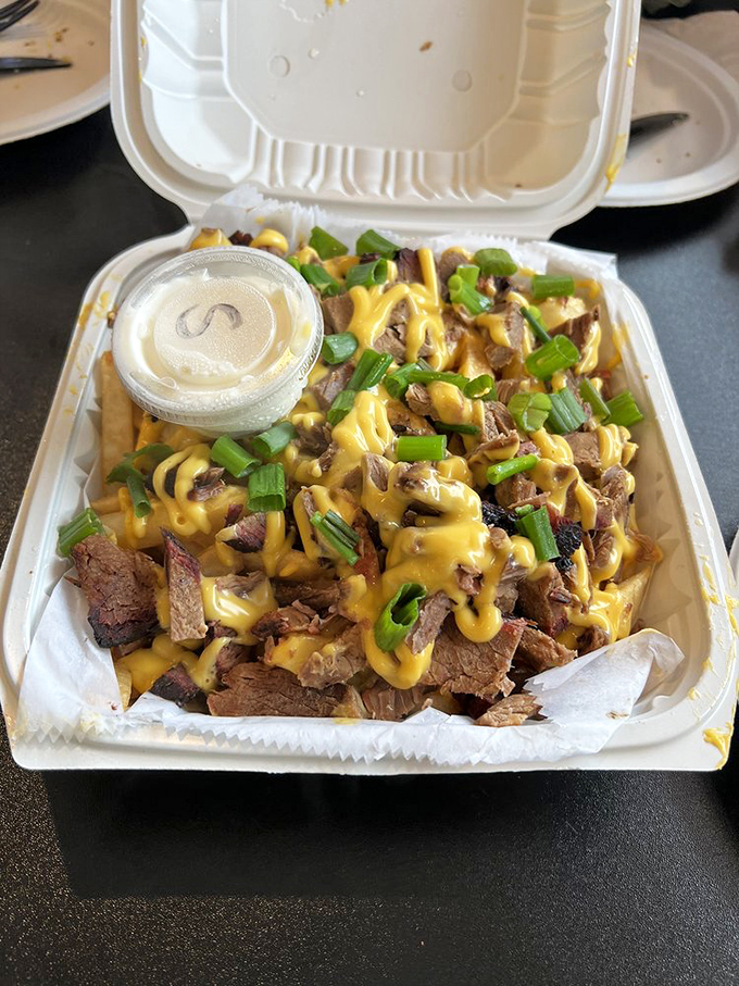 Brisket fries—because sometimes regular fries just aren't living their best life. The green onions add a splash of color to this masterpiece.