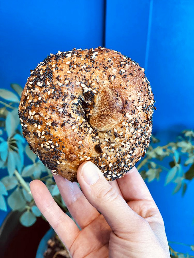 The everything bagel—where sesame, poppy, and garlic commit to a lifelong relationship with perfectly baked dough. No seed left behind.