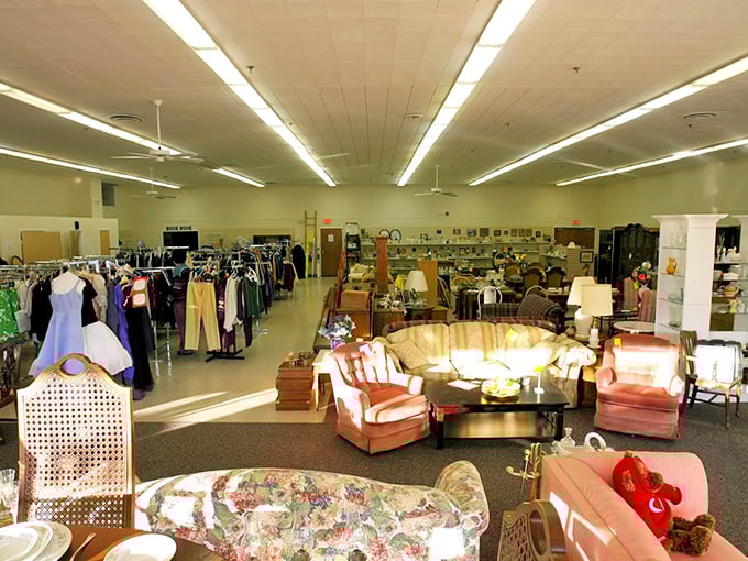 Aisles that stretch like suburban streets, where furniture neighborhoods form and shoppers become explorers in a landscape of possibilities.