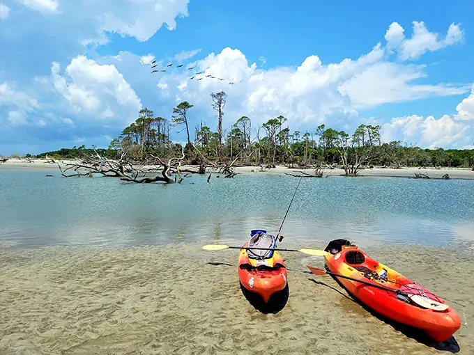 Tangerine kayaks rest at the shoreline, waiting patiently to introduce paddlers to Beaufort's tidal creeks and their wild residents.