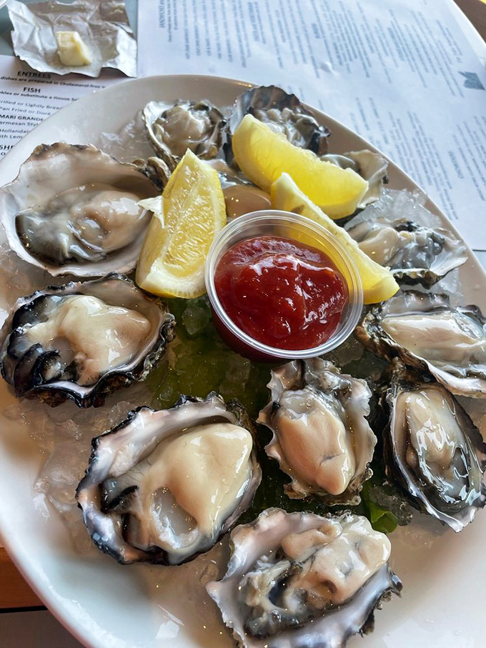 Fresh oysters on the half shell—nature's perfect appetizer, requiring nothing more than a squeeze of lemon and the restraint not to order three more plates.