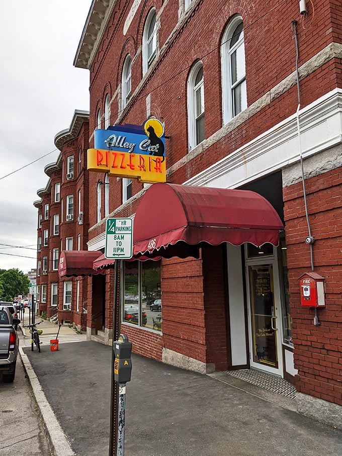 Brick building, red awnings, and pizza that makes you question why you ever ate anywhere else—Alley Cat has the whole package.