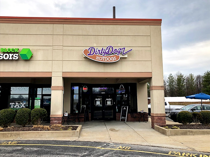 Don't let the strip mall setting fool you—some of Missouri's most adventurous dogs are hiding behind these unassuming doors.