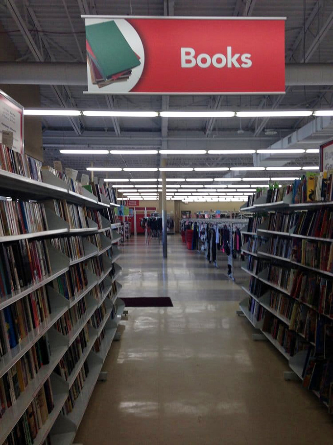 Literary archaeology at its finest—paperbacks for $1.99 that might contain someone else's beach sand or handwritten notes from decades past.