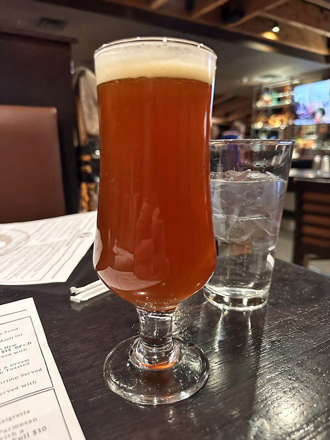 A proper beer in proper glassware—because sometimes civilization is found in the simple things, like amber liquid with a perfect head.