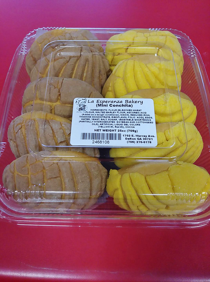 Mini conchas in their plastic container – like edible seashells from an ocean of flavor, these traditional Mexican sweet breads come in classic vanilla and chocolate.