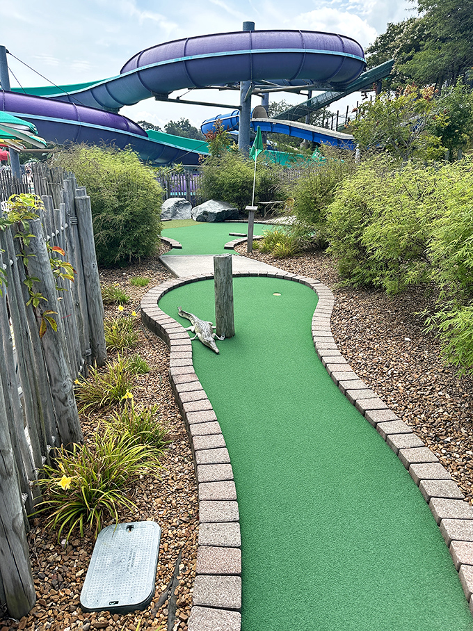 Mini-golf with a view – putt your way through lush landscaping while water slides tower overhead in a perfect pairing of dry and wet fun.