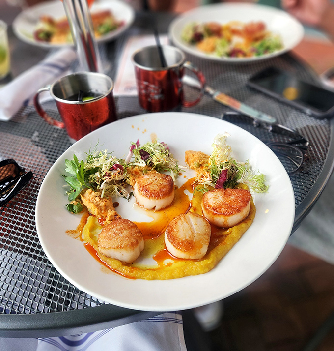 These seared scallops aren't just cooked—they're caramelized to perfection and plated like edible art on a canvas of golden puree.