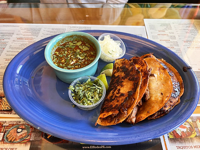 Quesabirria tacos—where crispy tortillas meet tender meat in a relationship so perfect it deserves its own romantic comedy. Don't forget that consommé for dipping!