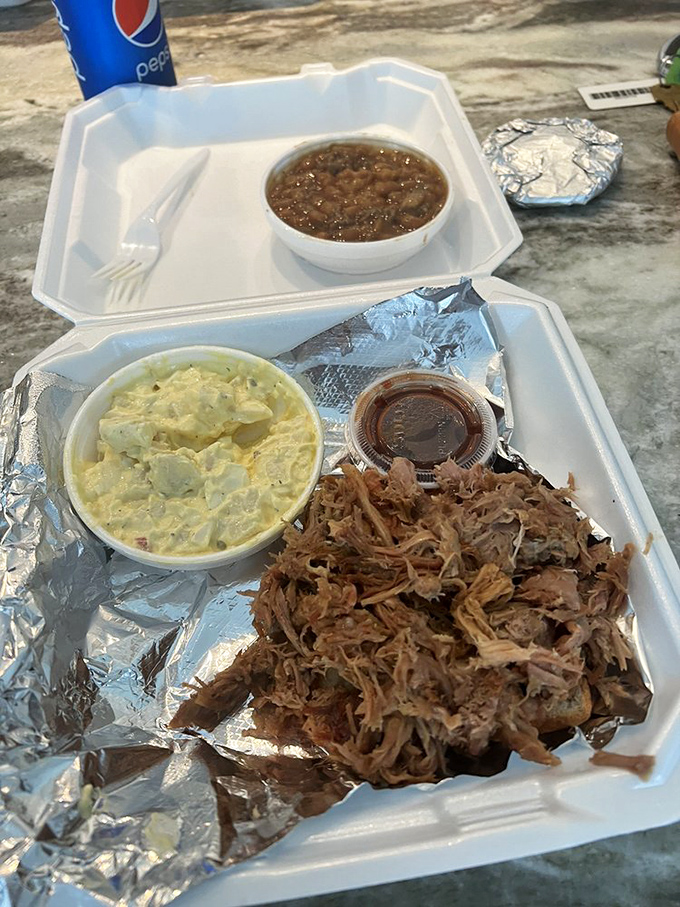 Pulled pork with potato salad and beans—the holy trinity of barbecue bliss. A styrofoam container never held such treasure.