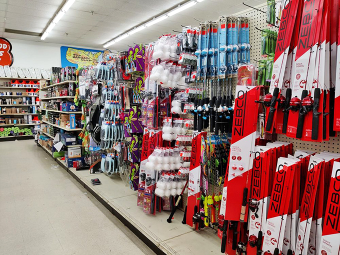 Fishing rods, camping gear, and sports equipment stand ready for adventure—priced so you can afford the trip to actually use them.