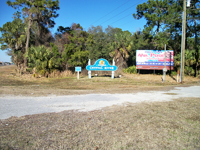 "Welcome to Crystal River" – the cheerful blue sign greets visitors at the town limits. No fancy billboards needed when natural wonders await just beyond.