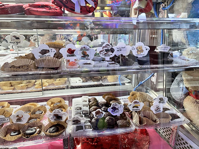 Chocolate geography lesson: explore territories of dark, milk, and white varieties, each region more tempting than the last. Passport and stretchy pants required.