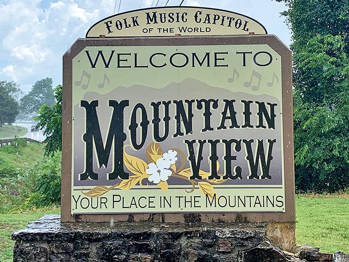 Folk Music Capitol of the World isn't just marketing—it's a promise Mountain View delivers on daily, one fiddle tune at a time.