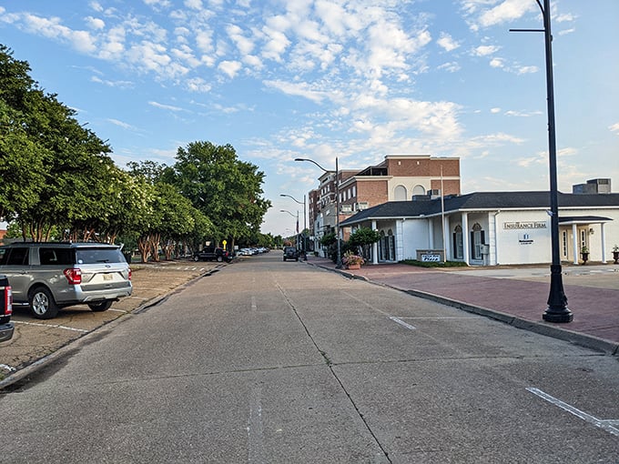 Ocean Springs' oak-lined streets create natural tunnels of shade, perfect for exploring this artistic coastal gem.