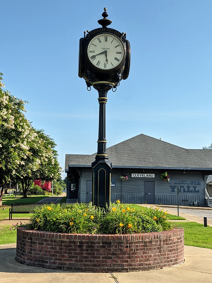 The modern buildings of Ocean Springs blend seamlessly with coastal charm, creating a town that feels both timeless and fresh. 
