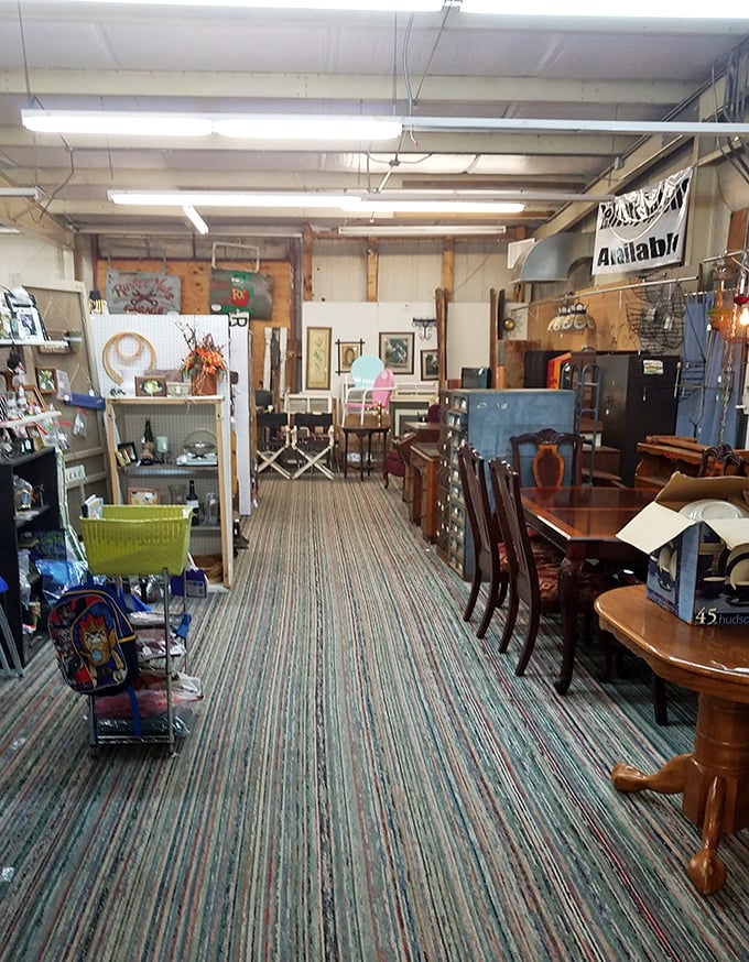 The Vinyl Vault promises the best records in the area—because nothing says "authentic listening experience" like crackling through your favorite album.