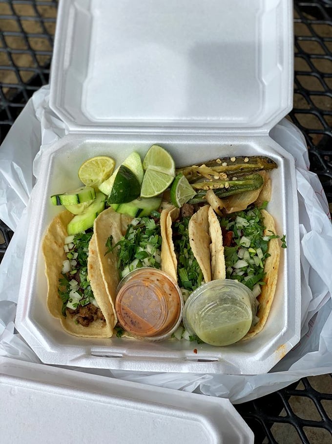 Authentic street tacos served with the holy trinity of lime, cucumber, and two salsas—minimalism that would make Marie Kondo weep with joy.