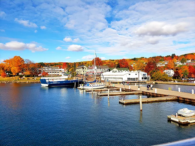 Autumn paints Bayfield in impossible colors, turning the harbor into a masterpiece that would make even Bob Ross reach for extra cadmium orange.