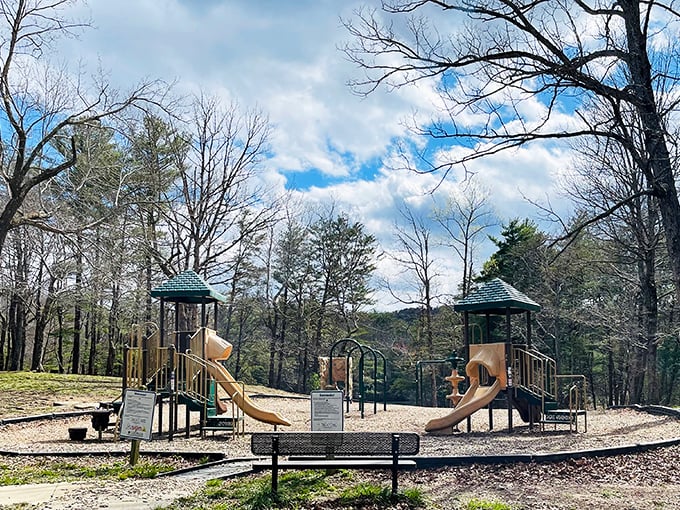 Even in the wilderness, kids need to burn energy. This playground offers the perfect compromise between screen time and scream time.