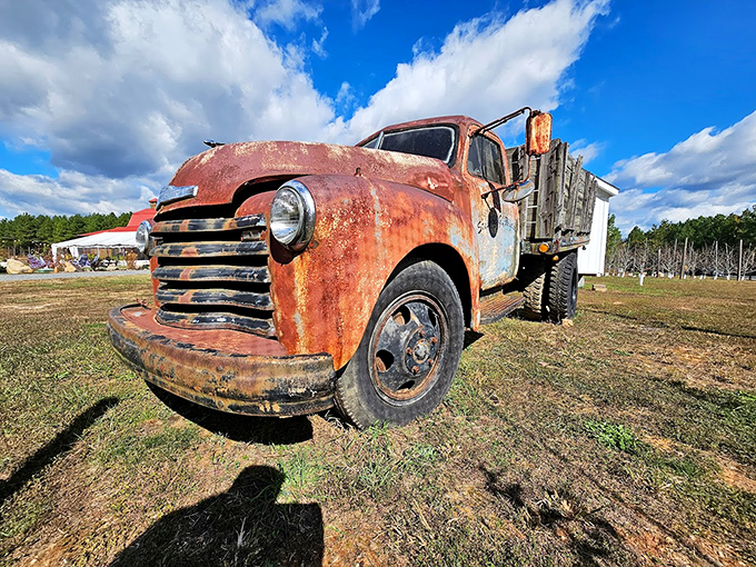 This vintage truck isn't just decoration—it's a time machine to when things were built to last, just like their recipes.