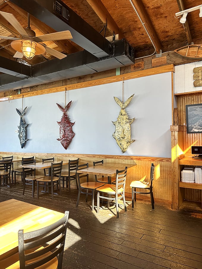Sunlight streams through windows onto wooden tables while fish mounts stand guard—this isn't just décor, it's a maritime museum where you can eat.