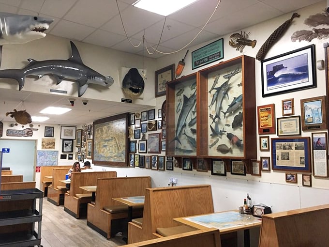 The walls tell stories of ocean adventures while shark replicas keep watch over diners enjoying treasures from below.