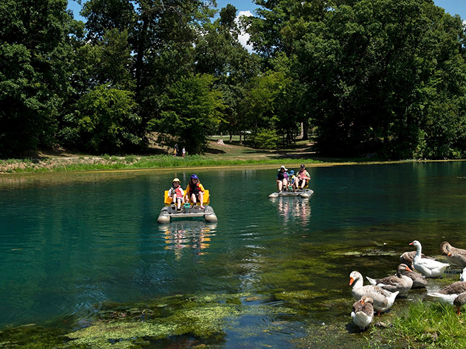 The geese have the right idea—if you lived near water this pristine, you'd spend your days paddling around showing off too.