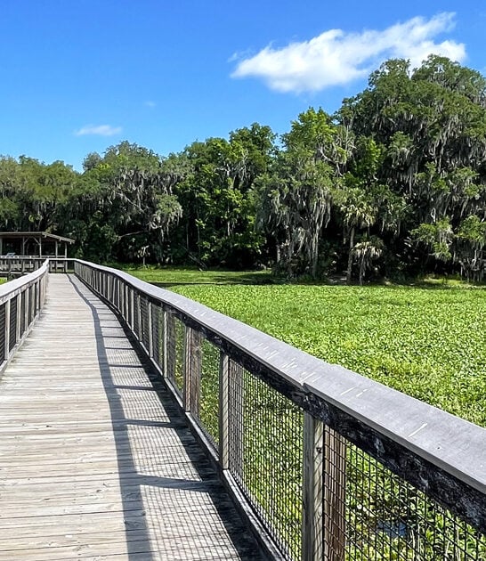 beautiful florida state park ftr