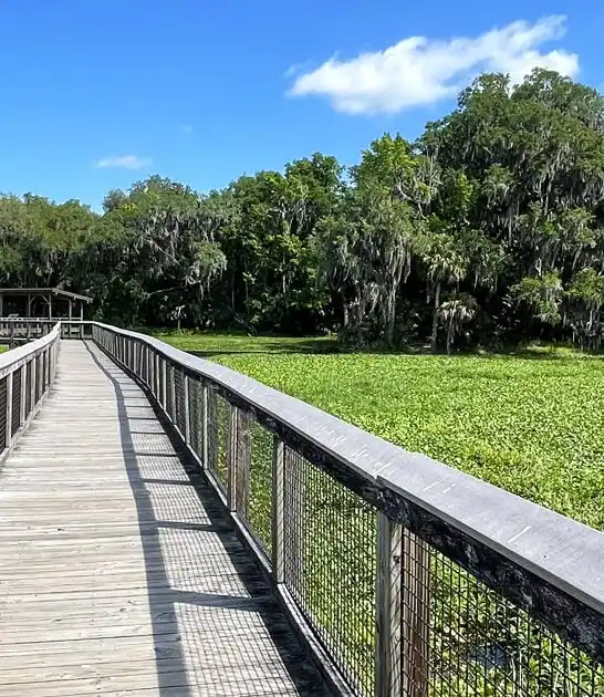 beautiful florida state park ftr