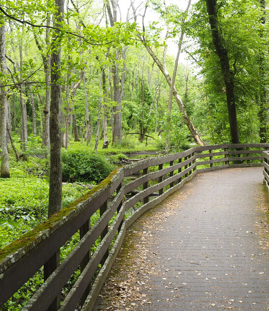 beautiful state park delaware ftr