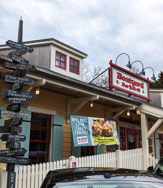 delicious crab sandwich maryland ftr