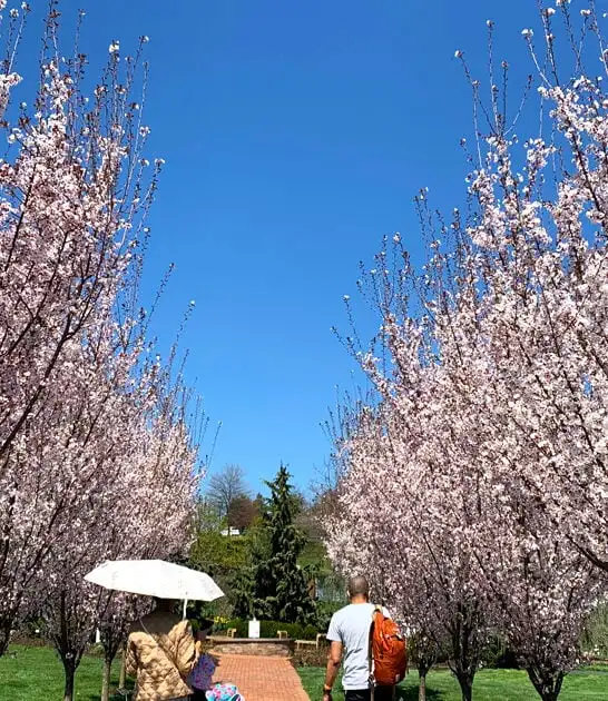 dreamy garden pennsylvania ftr