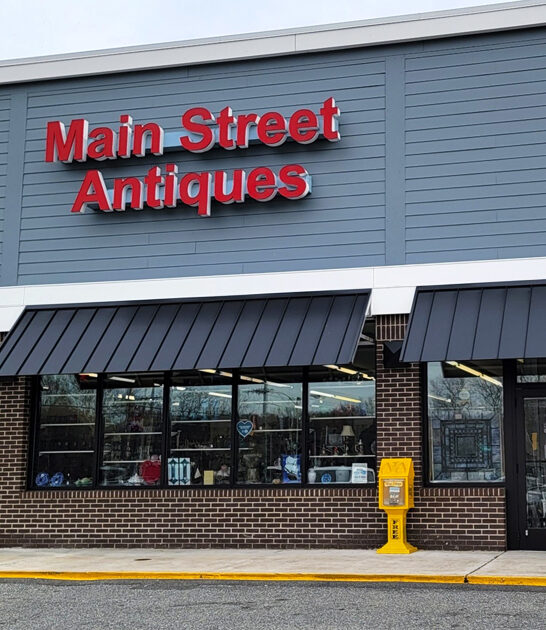 enormous vintage store delaware ftr