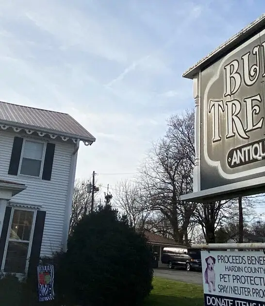 massive thrift store kentucky ftr