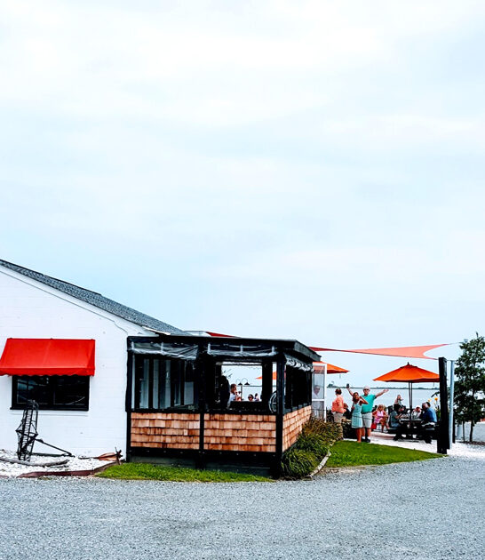 virginia states best oysters ftr
