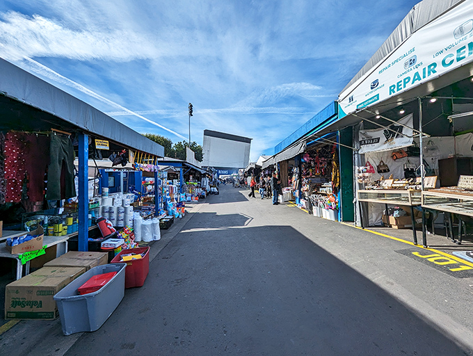 The iconic yellow sign beckons bargain hunters like a desert mirage, except this oasis actually delivers on its promises.