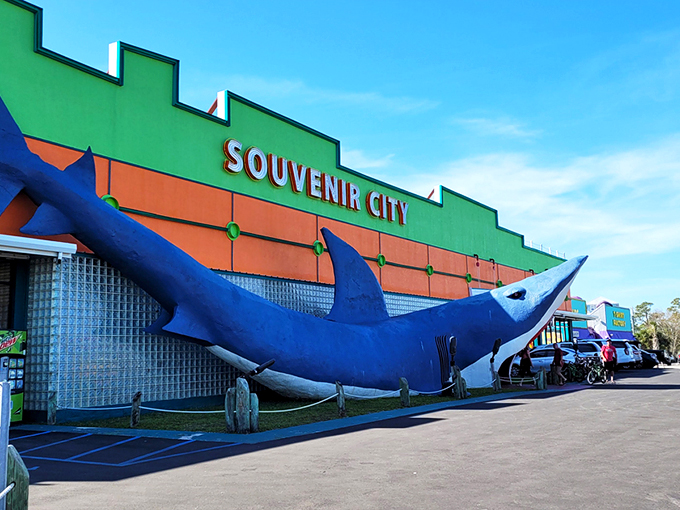 The iconic shark entrance at Souvenir City isn't subtle—it's vacation architecture at its finest. Walking through those jaws is practically a Gulf Shores rite of passage!